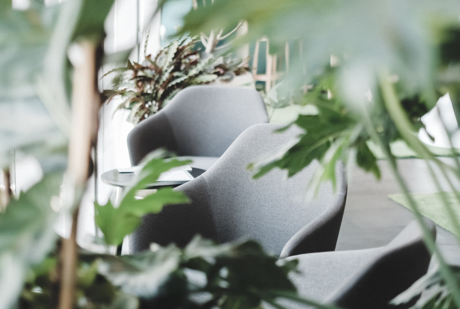 Botanic Building : Edificio Botanic